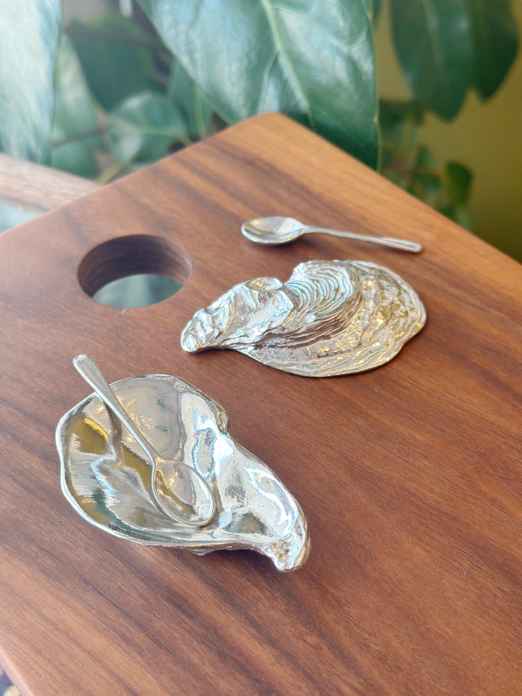 Oyster Shell Salt Cellar – Son of a Sailor