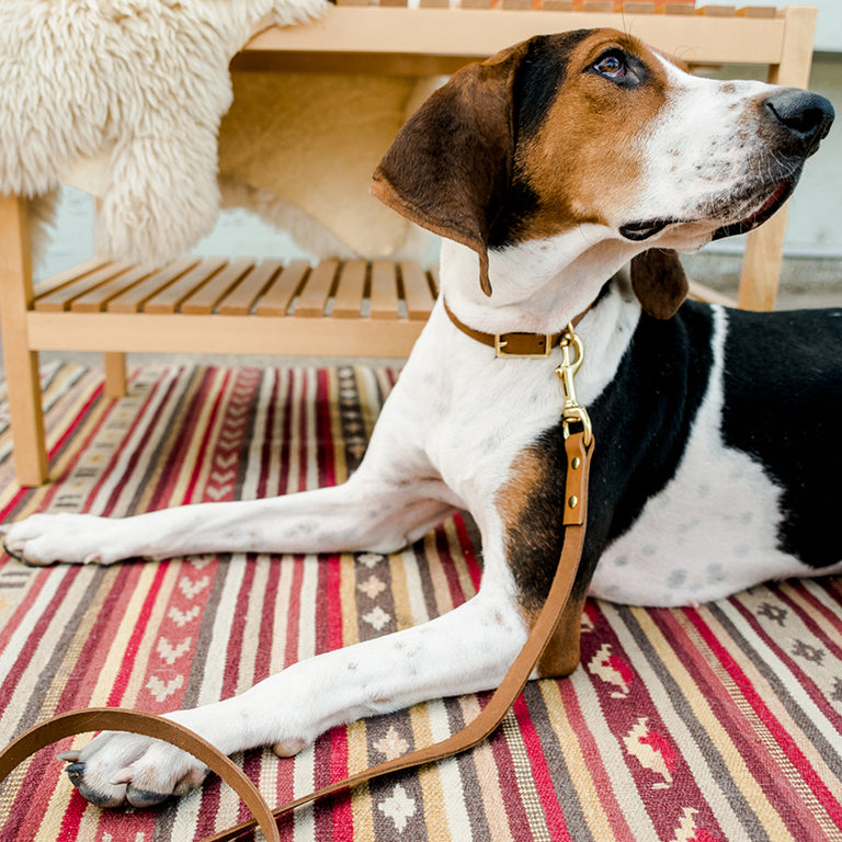 Eastwood Leather Leash – Son of a Sailor